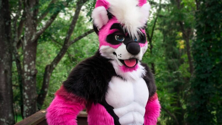 Furry Test: Am I A Furry Quiz