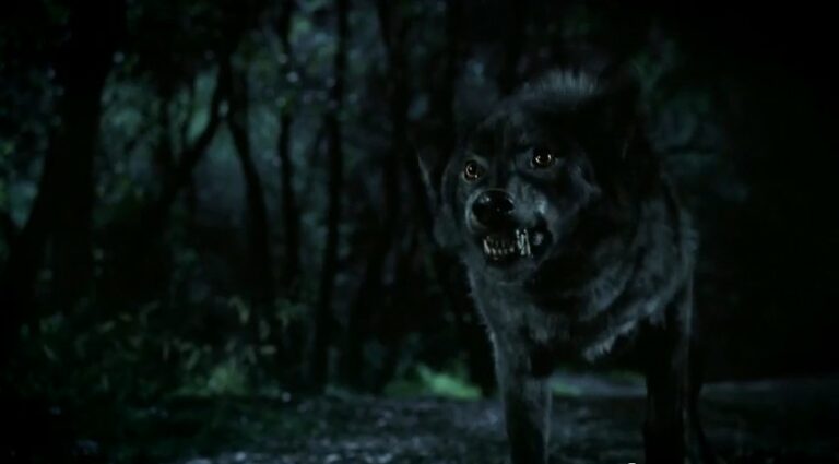 Are You A True Werewolf Quiz - Scuffed Entertainment